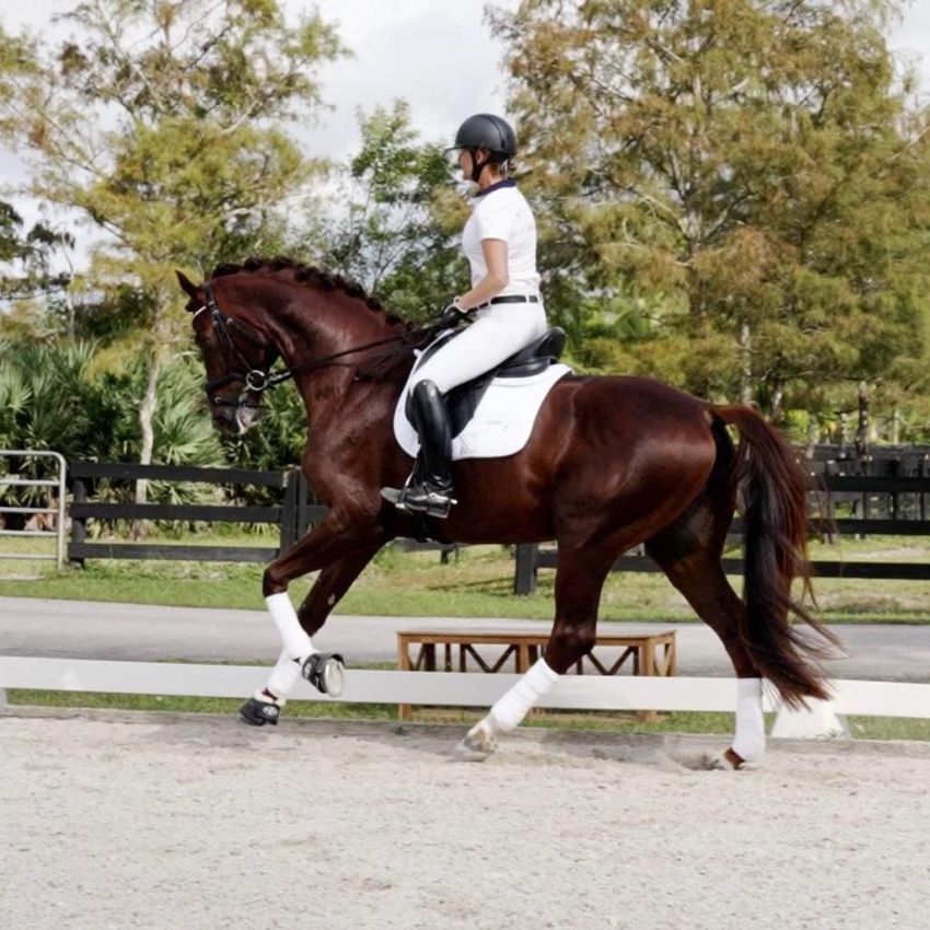 Surry Hill's Victor