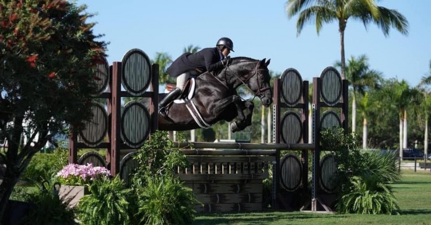 Sandro with Tori Colvin in Wellington