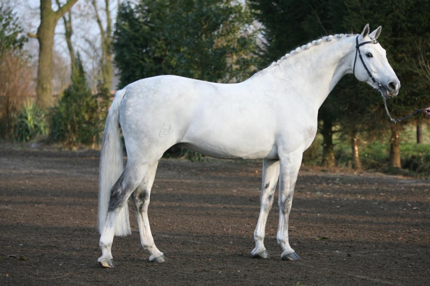 Photo Credit: Heathman Farm